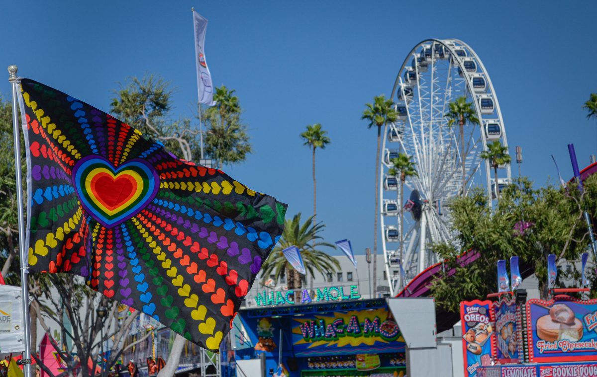 Proud Weekend at the Fair – Hot Blog On A Stick